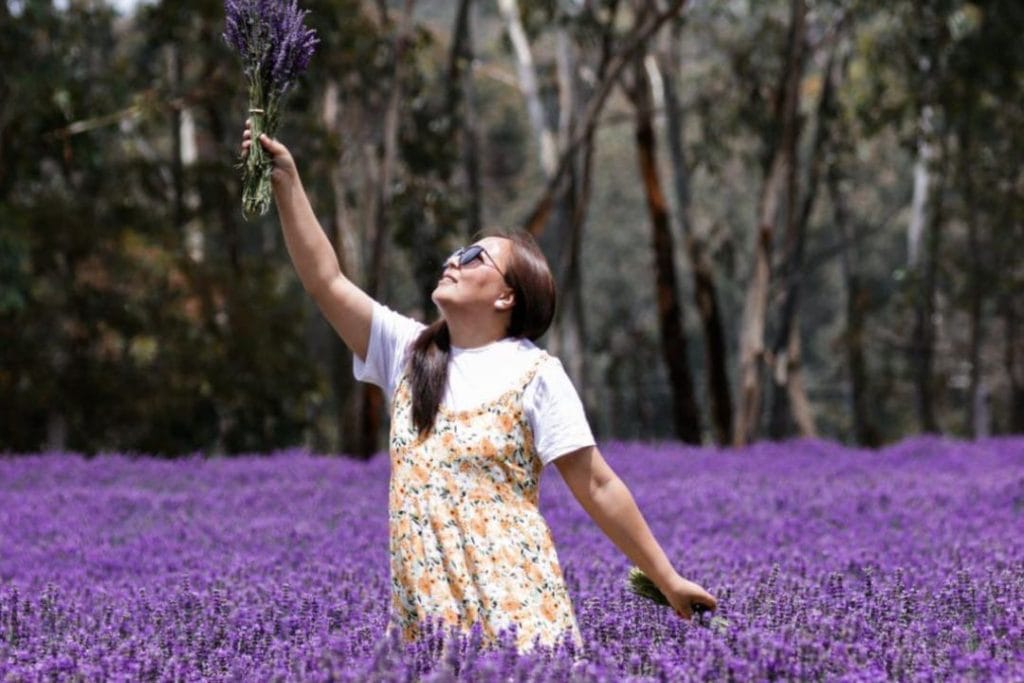 Our Farm - Hahndorf Lavender Estate | Lavender Farm South Australia