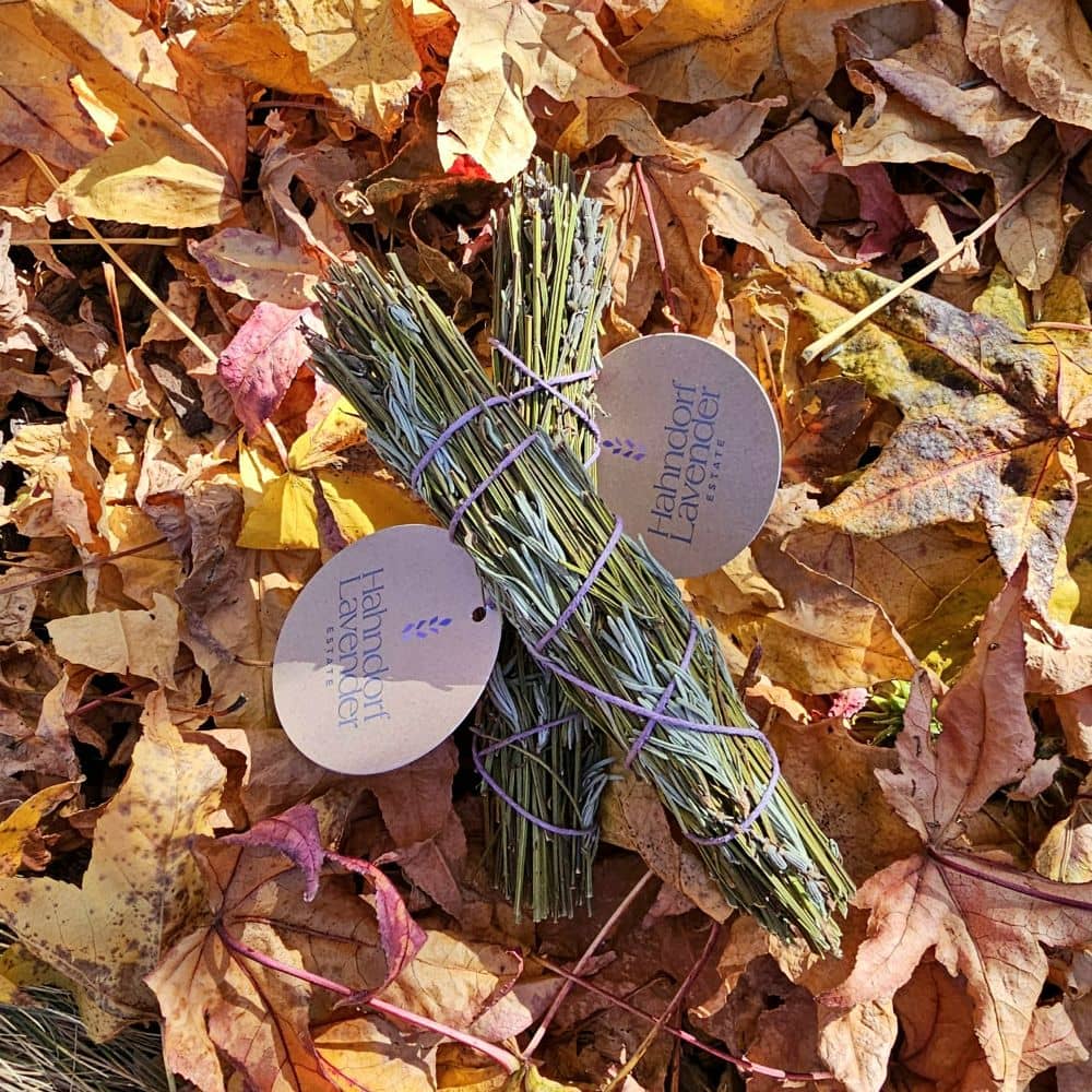 Lavender Smudge Sticks - Hahndorf Lavender Estate | Lavender Farm South ...